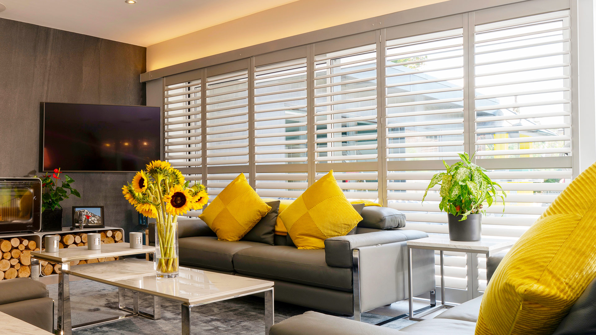 Euro Blinds - Affordable Prices For Any Budget Window Blinds